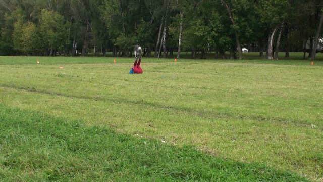 Russian USDDN WF Qualifier Ольга и Финик 2.mp4