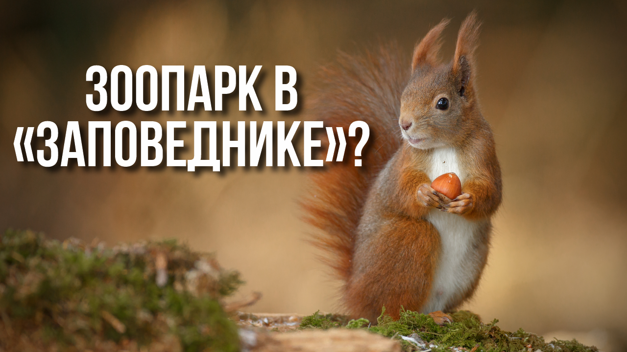 ЗООПАРК В "ЗАПОВЕДНИКЕ"! Как развлекаются жители коттеджного поселка?