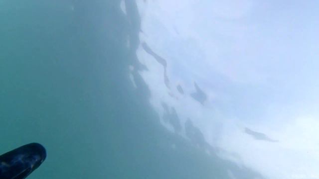 Подводная охота Сочи. Лобан 2021 (2 часть)