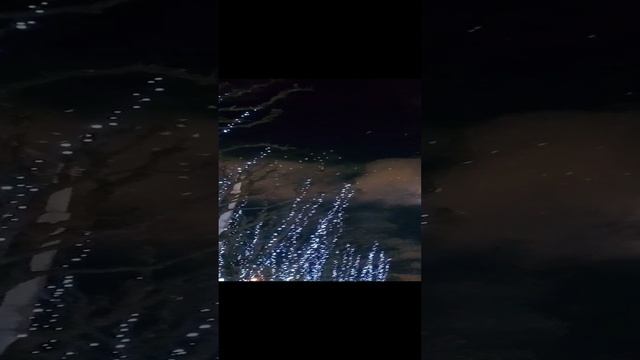 Новый год 2022 Питер , СПБ , 5 день )) )