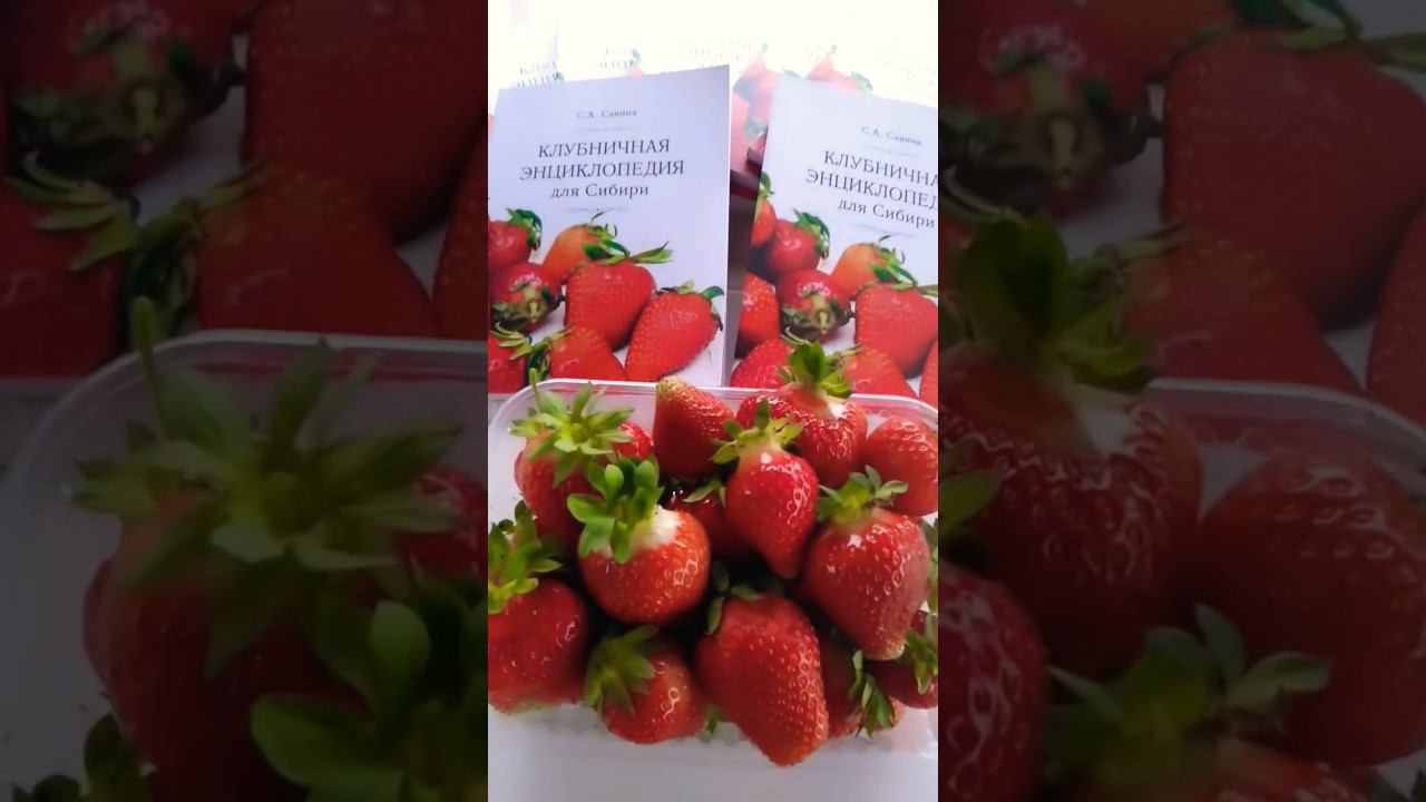 Для заказа книги см описание