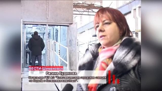 Мобильная бойня - Пищевые технологии.mp4