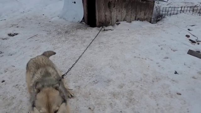 РАДОСТИ БОЛЬШИЕ И маленькие...