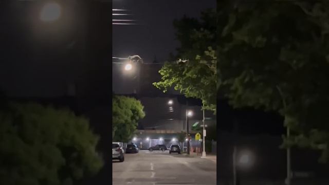 Миссия невыполнима