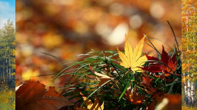 Людмила Зиновьева. Бабье лето-2