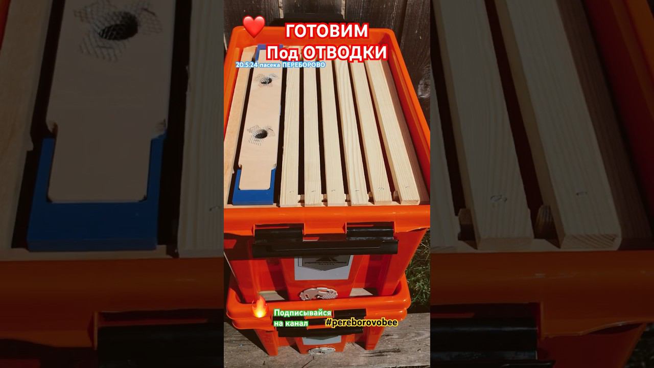 Отводки готовим! ПЧЕЛОВОДСТВО! #pereborovobee #пасека #пчеловодство #bee #воск #матковод  #отводки