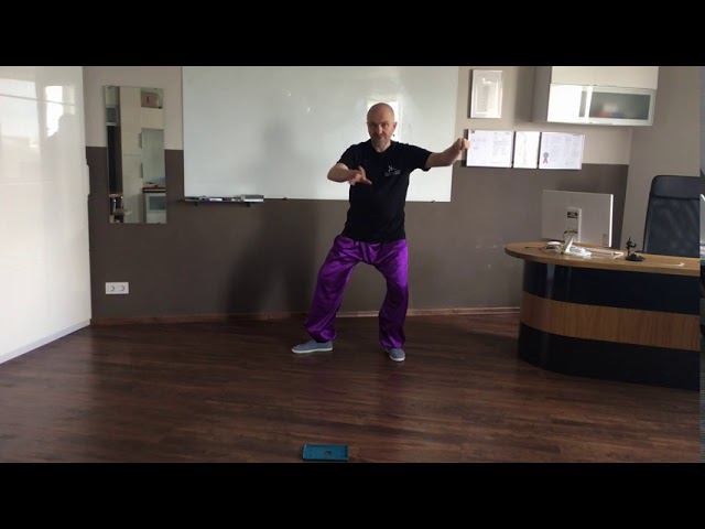 Одиночная плеть (Дан Бьен). Чэньши Тайцзицюань.  Позиция 4/83.