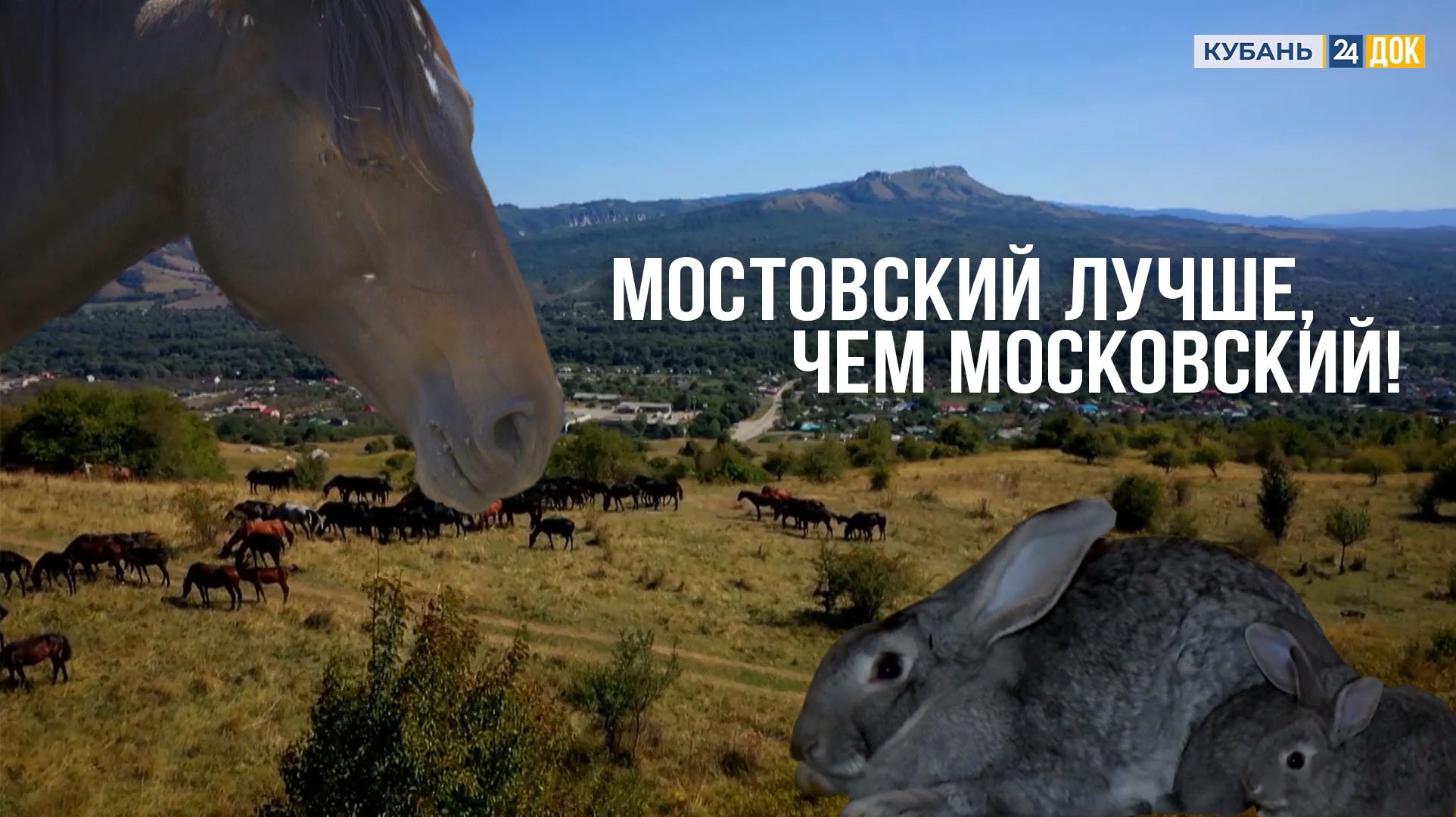 Агронорм: Дикие кони и  ленивый кроликовод