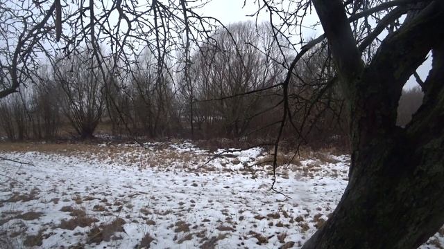 ГОНЯЕМ ЛИСУ ВОКРУГ ДЕРЕВНИ. ОХОТА НА ЛИС