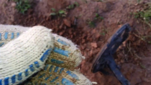 Коп с металлоискателем minelab x-terra 305 выход