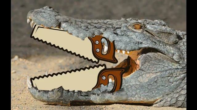 Буктрейлер «Что подсказала летучая мышь» - Автор Зенин Сергей.mp4