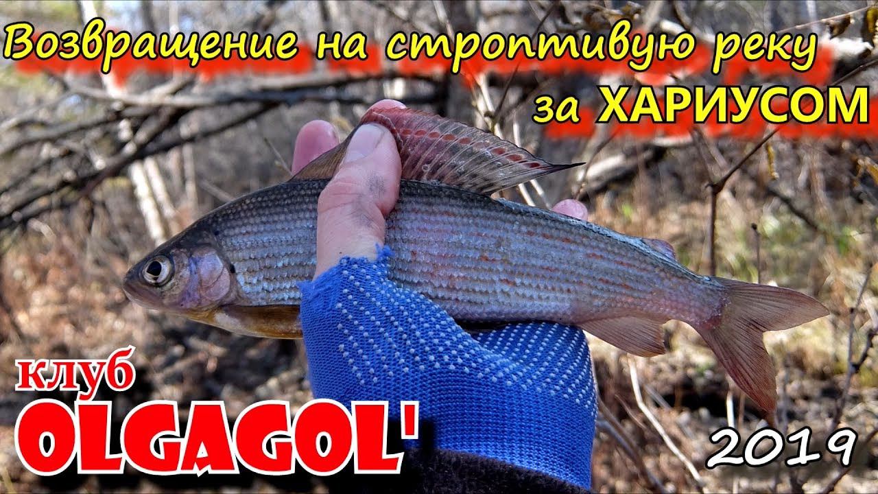 Возвращение на строптивую реку за осенним Хариусом