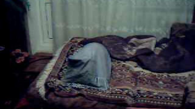 собачка проснулась