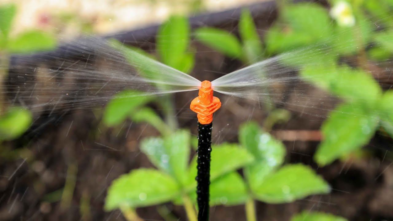 Дождевой полив для грядок «Жук»