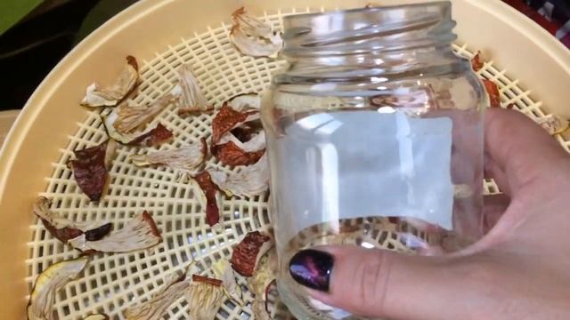 ❗СУШКА МУХОМОРОВ?‼️ Сушка мухоморов в дегидраторе и в духовке??‼️