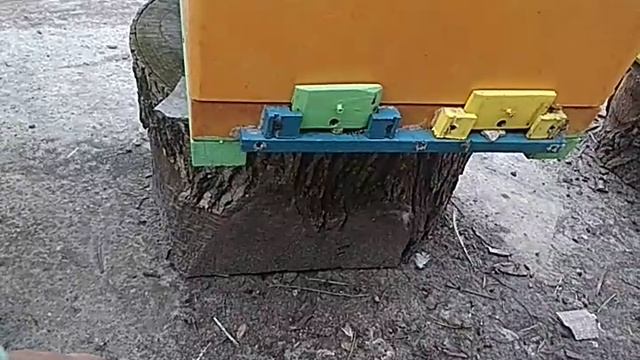 Осмотр двух маточного улика. Развитие пчел в ППУ улике.