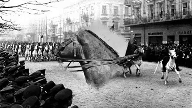 Слава Платову герою