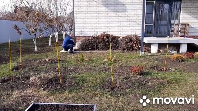 Шашлык. Первая сварка. Высадили лук. Шью..mp4