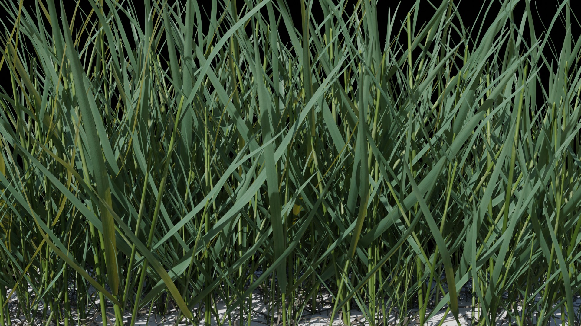 Создание реалистичной травы (растений) в блендер 3д.