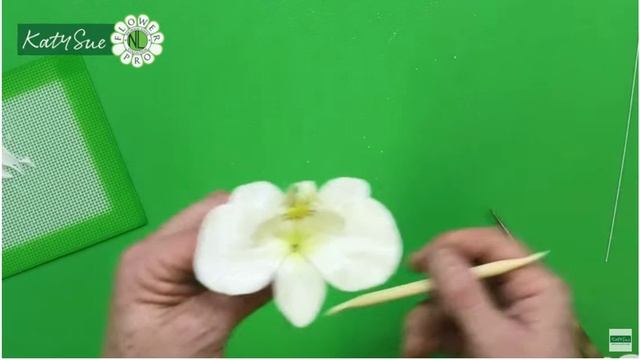 Орхидея Фаланопсис (мотылек)  Лучшие орхидеи Make Flower Pro для тортов и поделок, часть 5