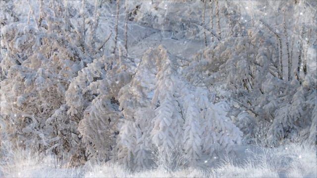 Белый пушистый снег. Красивая музыка для души.