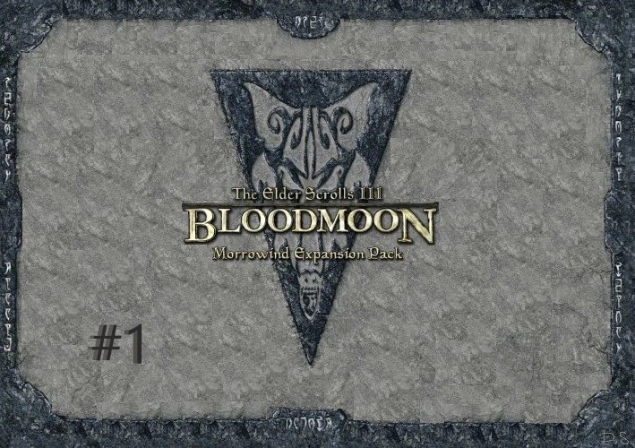 TESIII Bloodmoon #1 Беспорядки в Форте Инеевой Бабочки.mp4