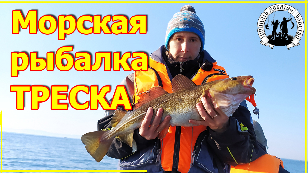 Рыбалка на Балтийском море. Треска.