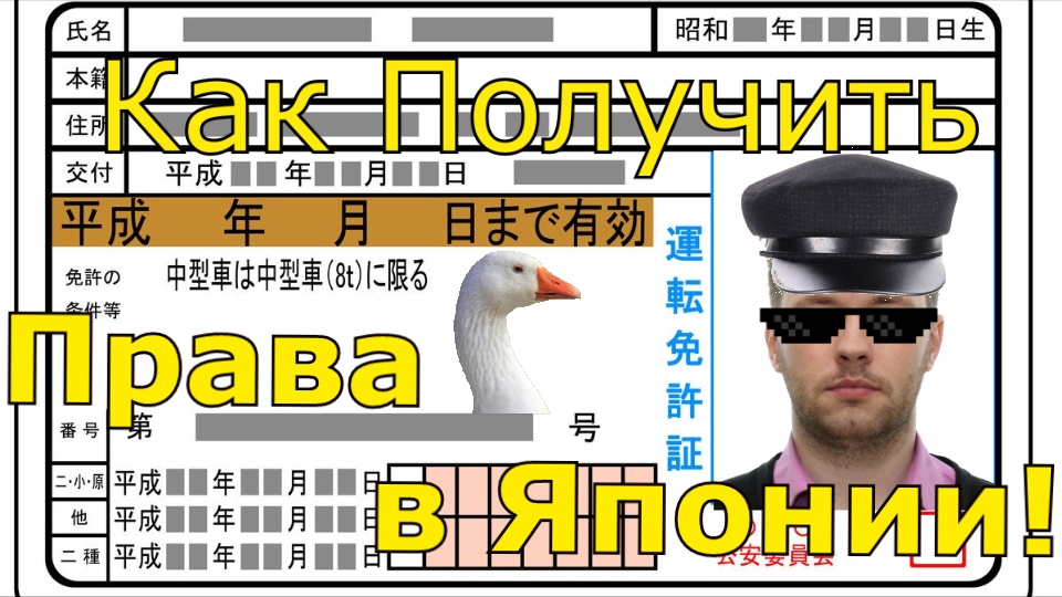 Как получить права в Японии. Авто из Японии. Цены на бензин.