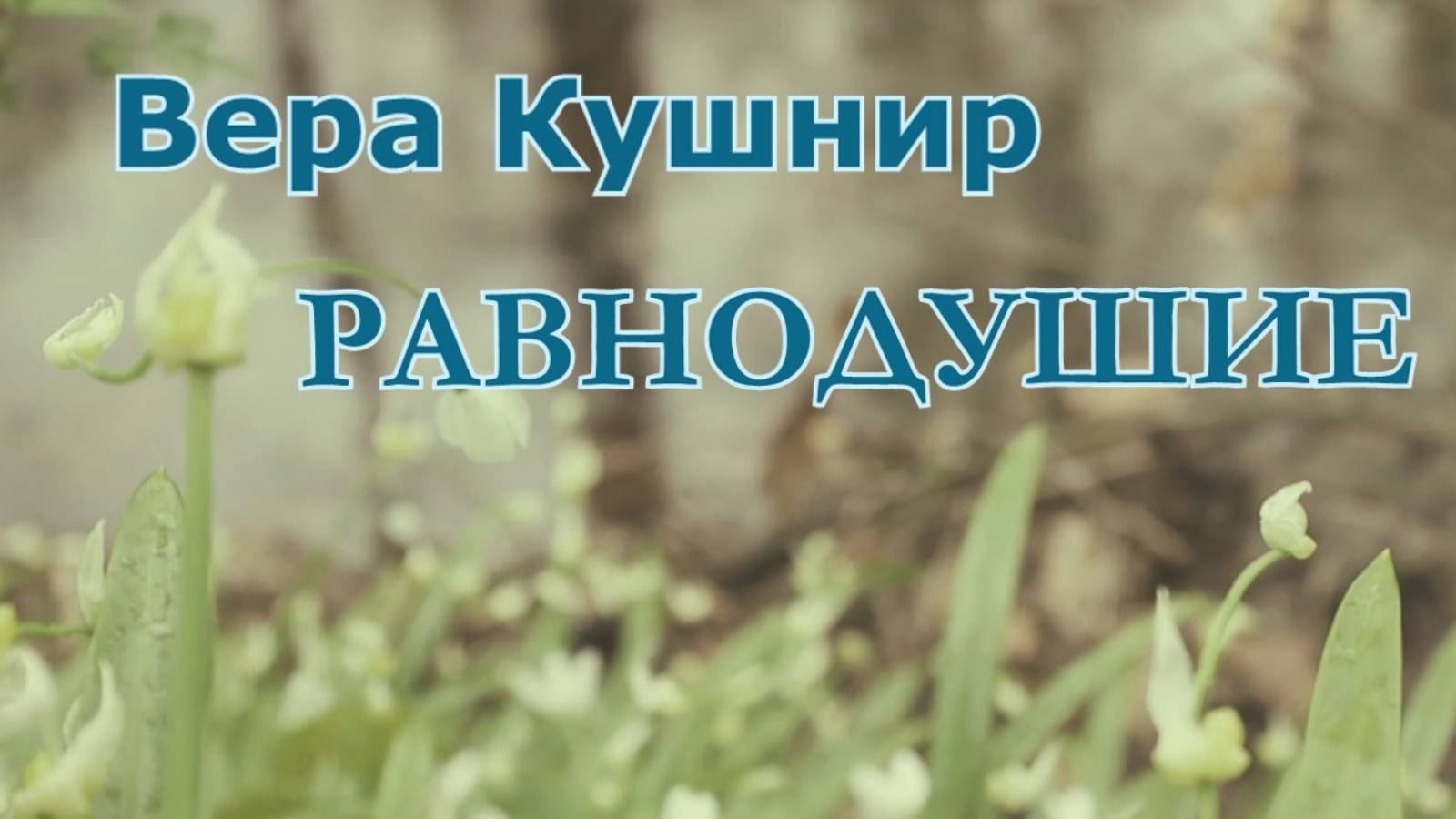 Вера Кушнир. стих - "Равнодушие."