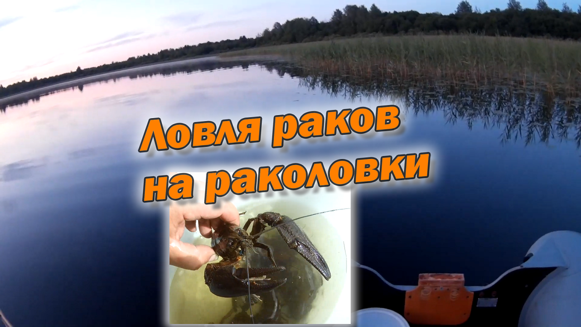 ОЗЁРНЫЕ РАКИ Ловля с лодки раколовками.mp4