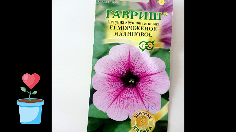 ПЕТУНИЯ ПОДКОРМКА!#ПЕТУНИЯ#ПЕТУНИЯПОДКОРМКА#ПОДКОРМКАДЛЯПЕТУНИЙ#петунияизсемян#петуниявыращивание#