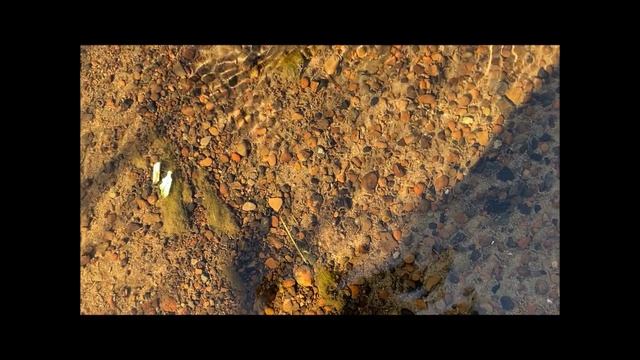 По Нижегородской области. Воскресенский район