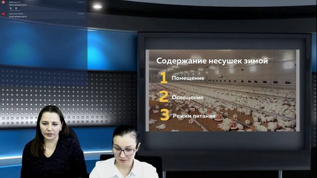Вебинар "Яйца круглый год, особенности ухода и кормления"