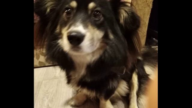 Автопилот - Ты должна понять