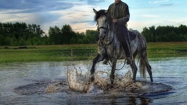 По Дону гуляет