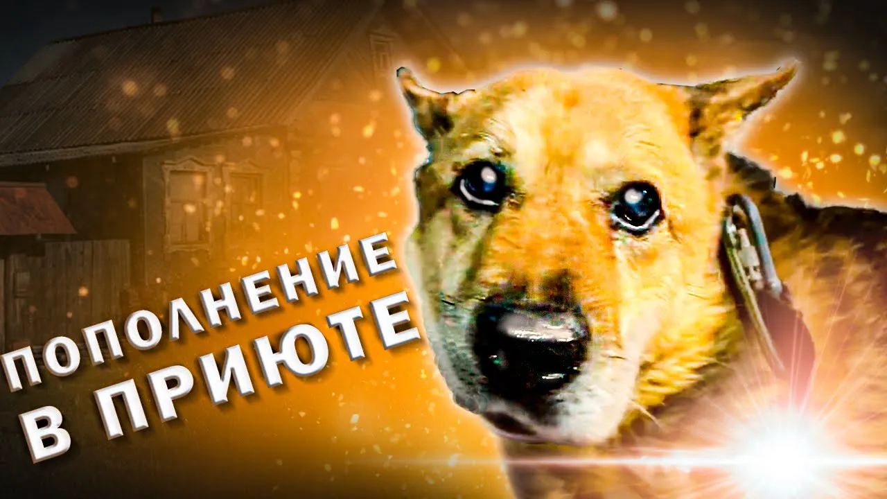 VLOG_ Галя пожалела этих старичков и решила, что доживать они будут у нас.