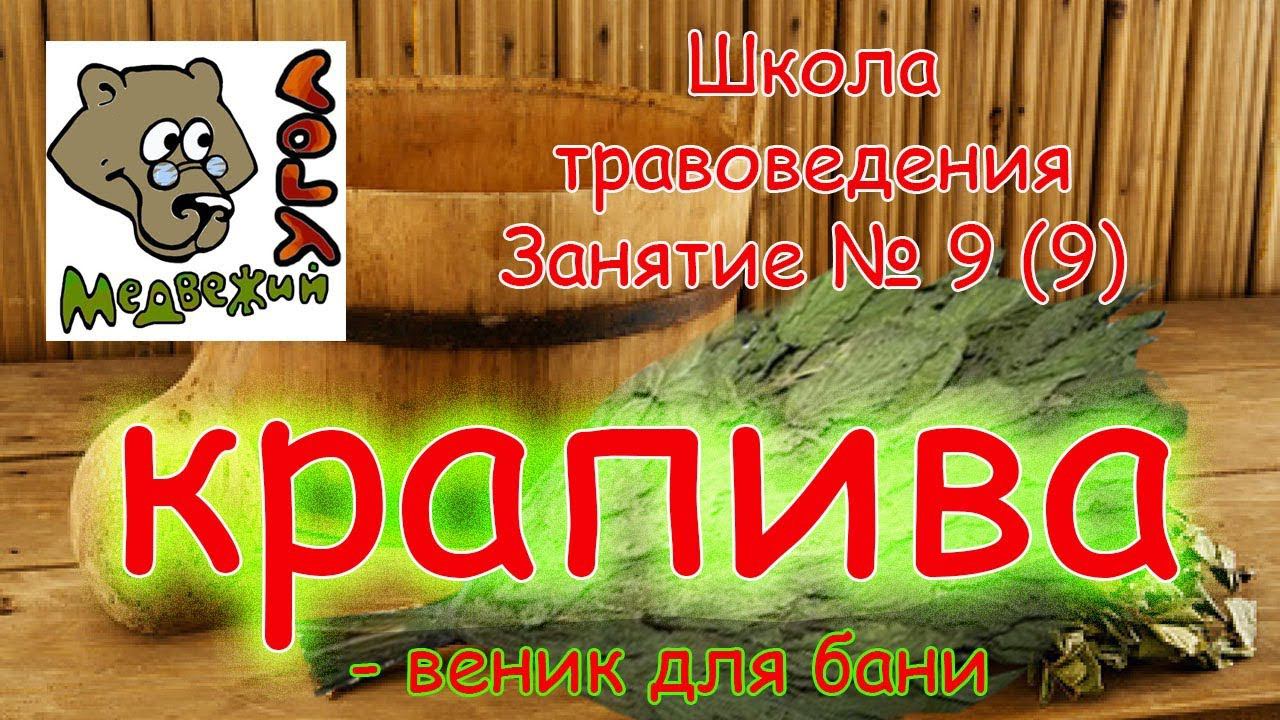 Школа травоведения. Занятие № 9 (9) КРАПИВА - веник для бани