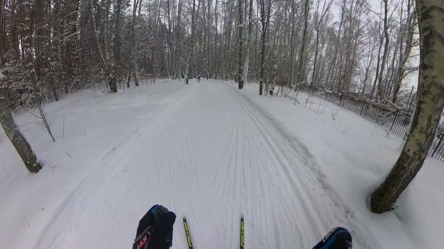 Дмитровская лыжня 2024 полная