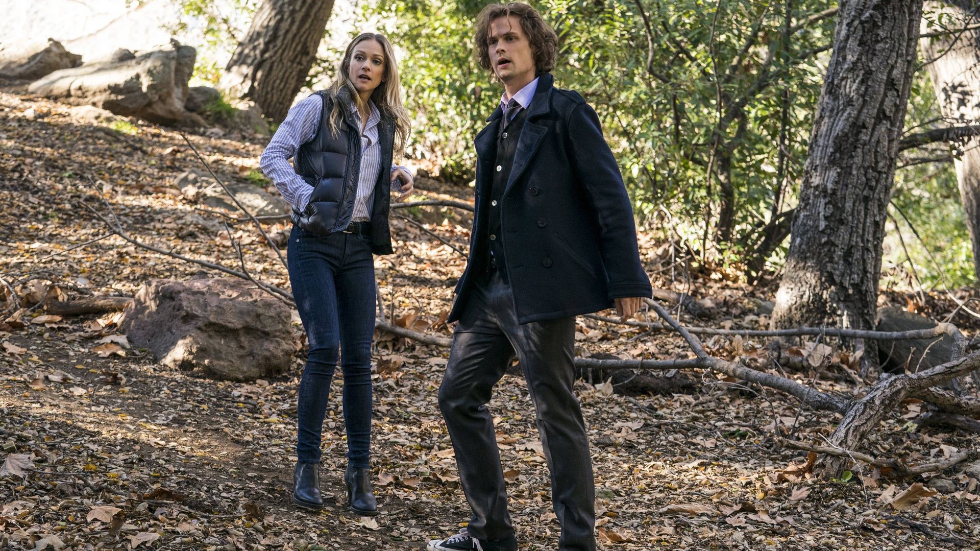 Мыслить как преступник - 10 сезон 19 серия / Criminal Minds