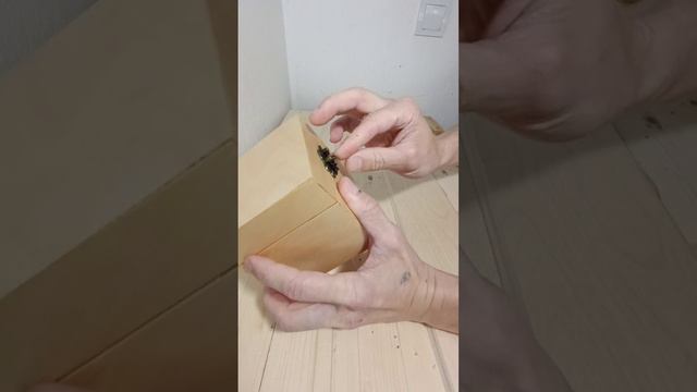 Ножки для шкатулки своими руками