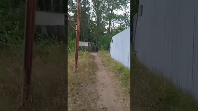 Пляж. Самара. Шелехметь. Проезд 120 рублей. Дорога.