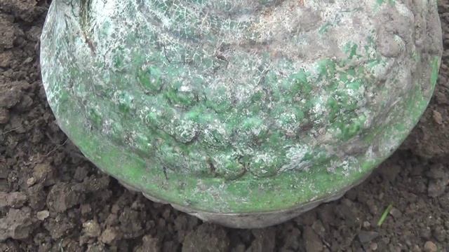 Поливной кувшин из раскопок средневекового Азака.mp4