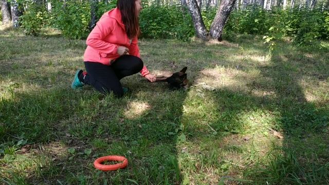 Малинуа Гарза 2,5 месяца