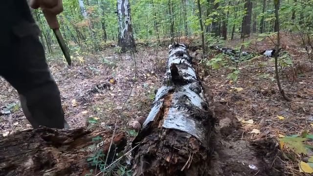 Выживание в комфорте, Печь в земле, Строительство укрытия, Одиночная ночевка в кустах