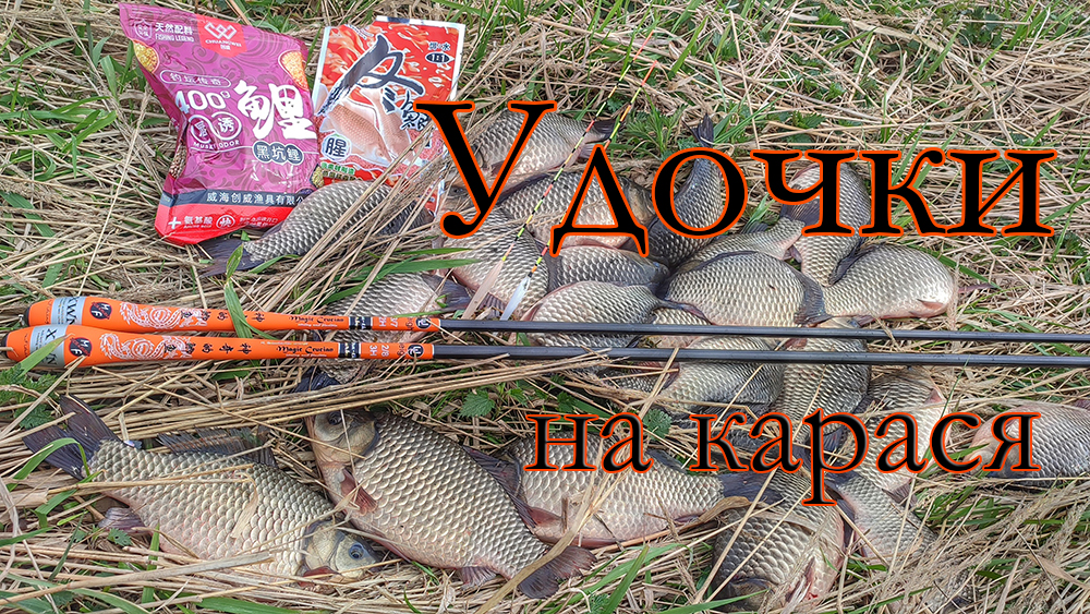 Карась. Работа удилищ на ваваживании.wmv