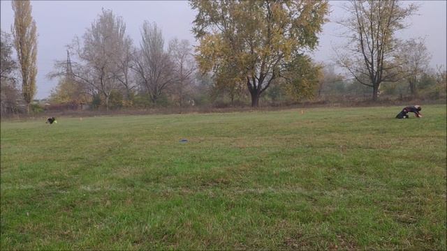 FrisbeeМанія2019   Валерия НО Фрида.mp4