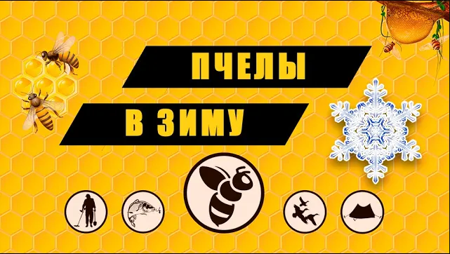 Подготовка пчел к зиме. Обработка от клеща. Подкормка пчел в зиму