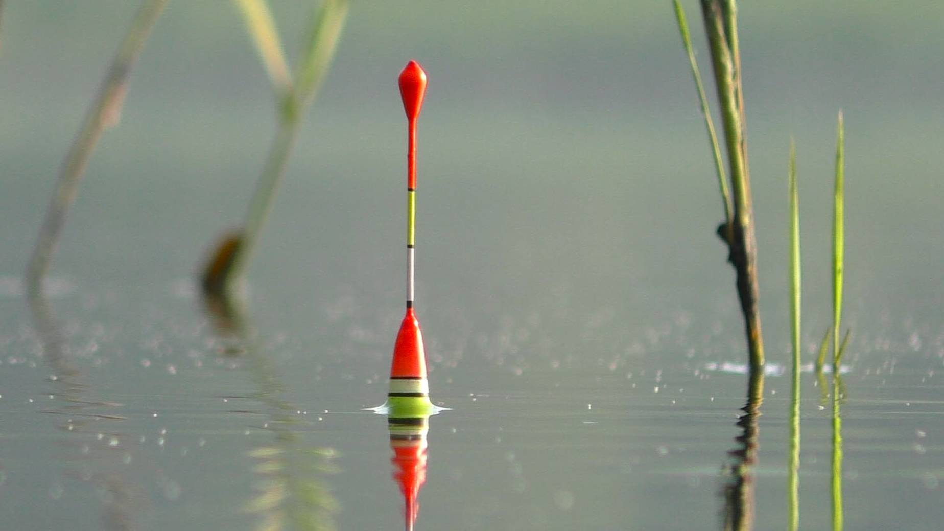 Рыбалка на поплавок в траве