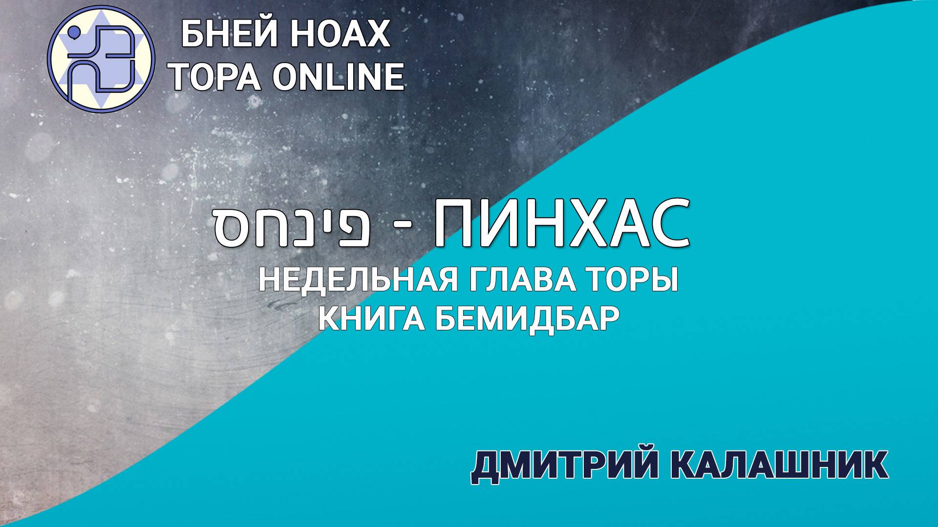 Недельная глава Торы - Парашат а-шавуа - "Пинхас" 5784/2024. Дмитрий Калашник