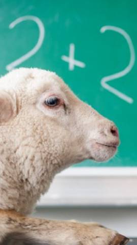 Три самых бессмысленных вопроса